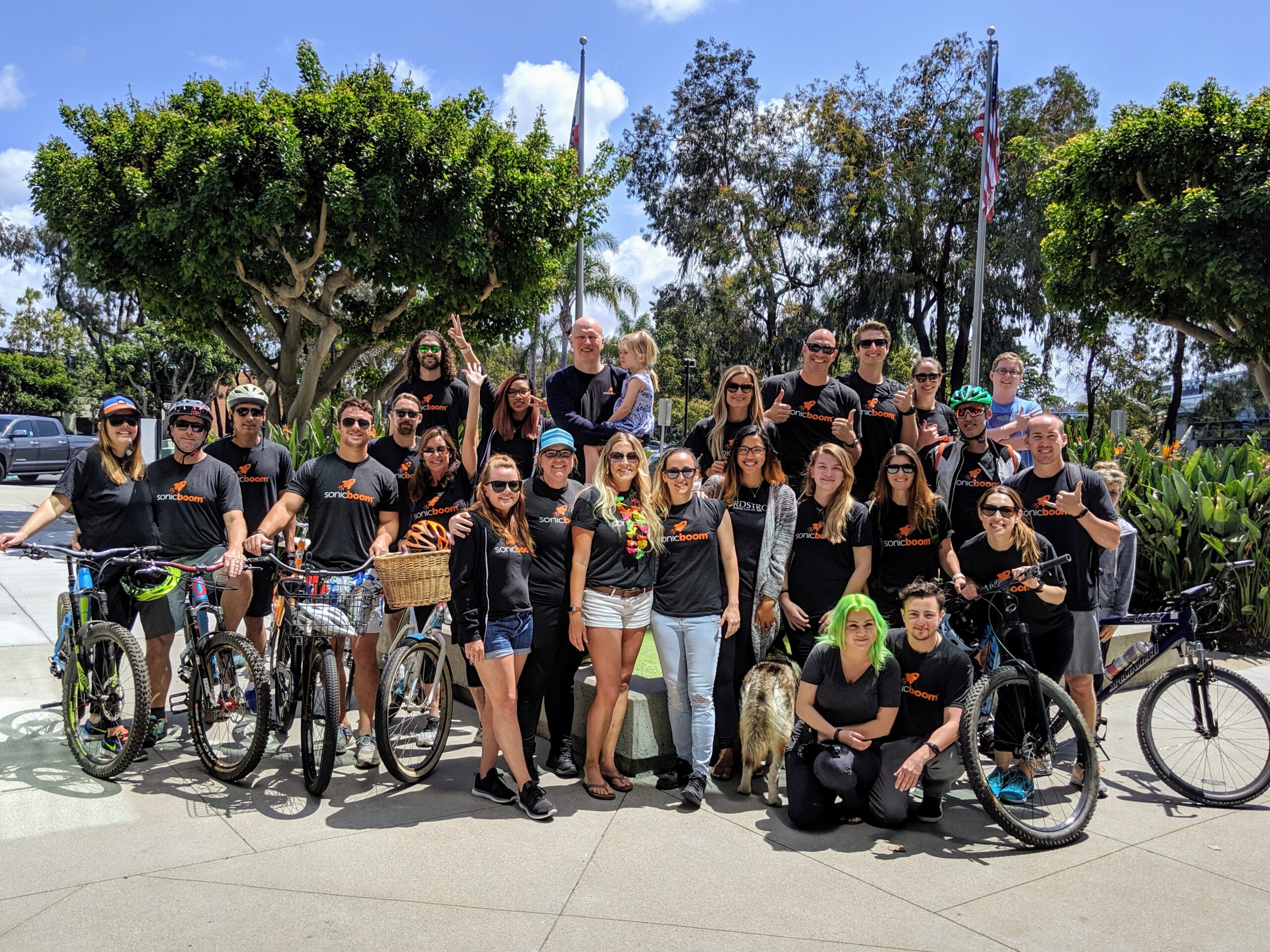 15 years of Sonic Boom Wellness - Sonic Boom Wellness